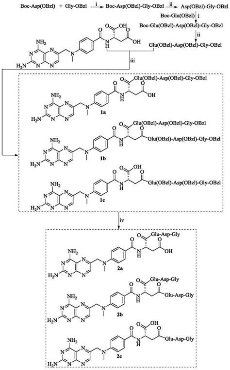 Glu Asp Gly Modified Methotrexate And Synthesis Antitumor Activity And Application Thereof