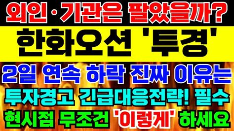한화오션 주가전망 🚨긴급속보🚨외인·기관은 팔았을까 2일 연속 하락하는 진짜 이유는 투자경고 긴급대응전략 필수시청 노란봉투 실적우려 현시점 무조건 이렇게