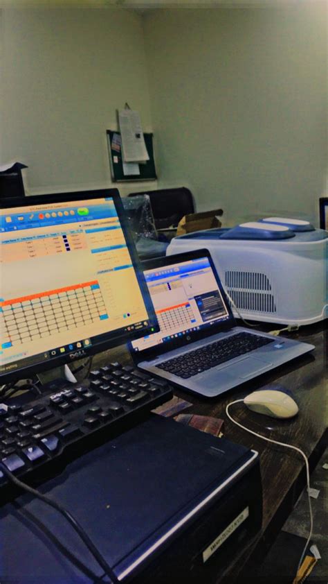 Working On Pcr Quantifications Engr Arif Hussain