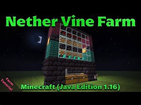 Automatic Nether Vine Farm Weeping Twisted Minecraft Farm Tutorial Java Minecraft