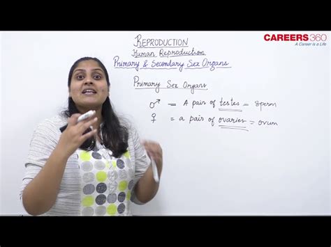 Primary And Secondary Sex Organs MCQ Practice Questions Answers