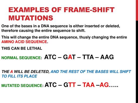 Ppt Dna Mutations And Genetics Powerpoint Presentation Free Download Id 5621230