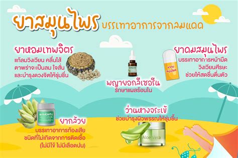 🌤️รับมือโรคฤดูร แพทย์แผนไทยและแพทย์ทางเลือก โรงพยาบาลไชยา Facebook