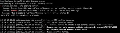dnsmasq failed to create ipset control socket permission denied