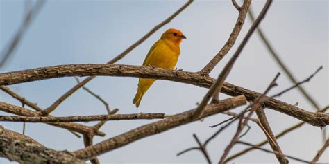 A Guide On Canary Deployments In Kubernetes Dev Community