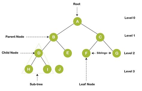 Linear Vs Non Linear Data Structure Online Tutorials Library List