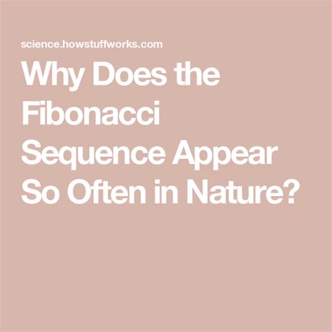 Why Does The Fibonacci Sequence Appear So Often In Nature Fibonacci
