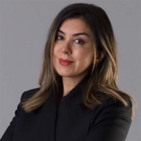 Elina Alinezhad Chicago Illinois United States Professional Profile Linkedin