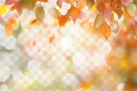 Vignette PNG Images Free Photos PNG Stickers Wallpapers Backgrounds Rawpixel