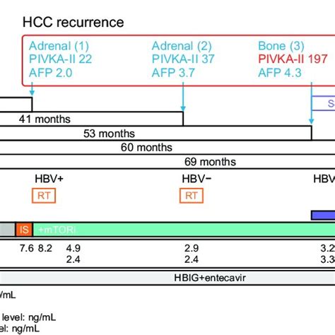 Time Flow Of Treatment After Liver Transplantation And Hepatocellular Download Scientific