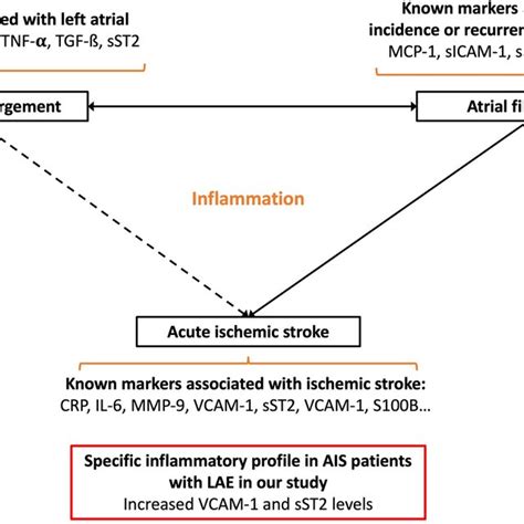Schematic Summarizing The Main Link Between Atrial Fibrillation Left