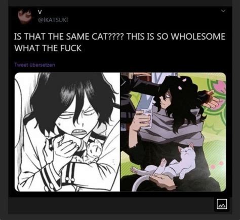 Aizawa And His Cat Funny Anime Pics Best Anime Shows Boku No Hero Academia Funny