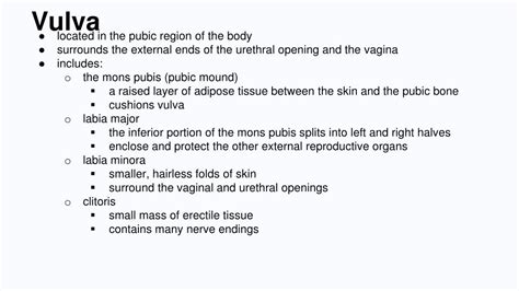 Ppt Reproductive S Ystem Powerpoint Presentation Free Download Id