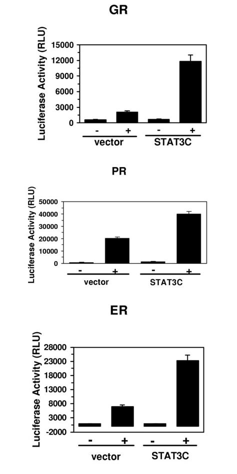 Stat3 Enhances Transactivation Of Steroid Hormone Receptors Pmc