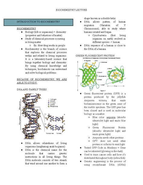 Biochemistry Lecture INTRODUCTION TO BIOCHEMISTRY BIOCHEMISTRY Biology Life Or Organisms