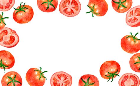 토마토 프레임 손으로 그린 수채화 그림 여름 야채의 배경입니다 토마토 채소에 대한 스톡 벡터 아트 및 기타 이미지 토마토 채소 수채화 일러스트레이션 Istock