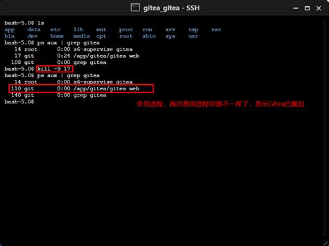 手拉手教你在极空间docker上安装gitea并实现ssh提交代码 极空间 我的nas捣鼓笔记 Aayu Yain 学无止境 世界上大部分事，都没太大意义。真理与热爱除外