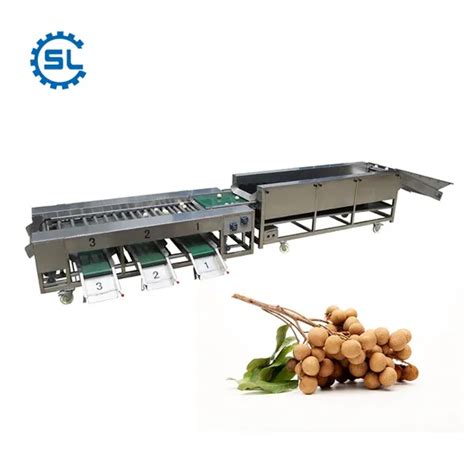 Cherry Tomato Sorting Grading Machine Citrus Washing Waxing Machine Fruit Sorting Machine And