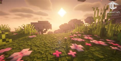 Realiscraft Je Realistic Default Textures Gallery Minecraft Resource Packs Curseforge