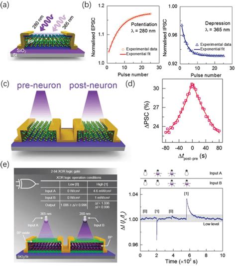 All‐optical Stimulated Synapse Devices A Schematic Illustration Of A Download Scientific