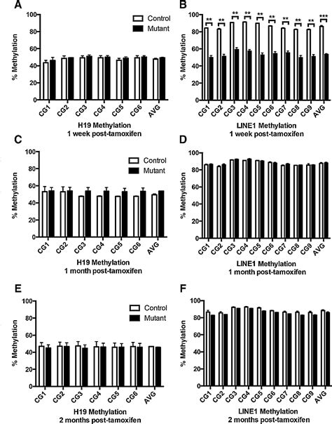 Figure 1 From Dna Hypomethylation Contributes To Genomic Instability