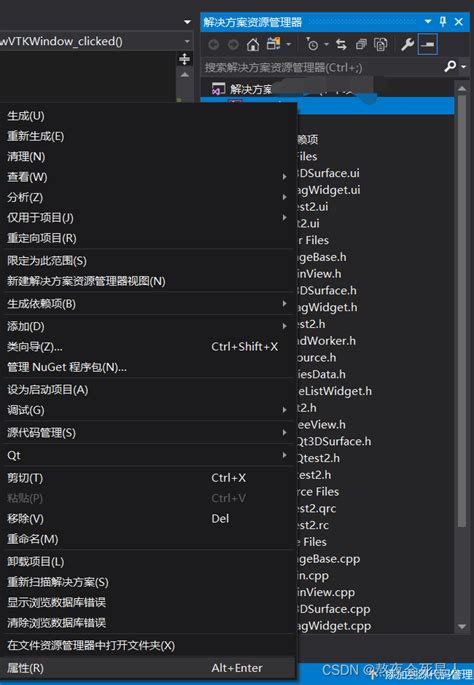 第一章：医疗图像分割结果三维重建vtk Qtvtk Qt 医学图像 Csdn博客