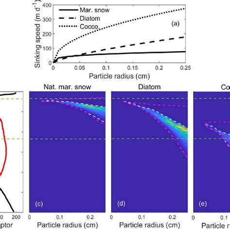 N 2 Fixation Rates In Different Types Of Sinking Particles With