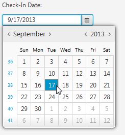 26 Date Picker Release 8