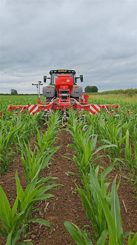 Companion Crops Going In Will Oliver