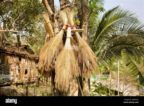 Bundles Of Traditional Grass Brooms Hanging To Dry In Laimi Para