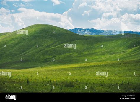 Wallpapers Grass Windows Xp Wallpapers Window Xp Wallpapers 59