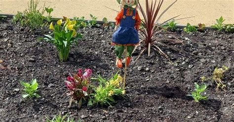 Branching Out Community Initiative Climate And Nature Friendly Communities Network