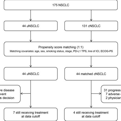 Objective Response Rate Orr And Disease Control Rate Dcr A Orr Download Scientific