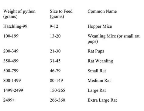 Ball Python Feeding Chart Everything You Need To Know About Feeding