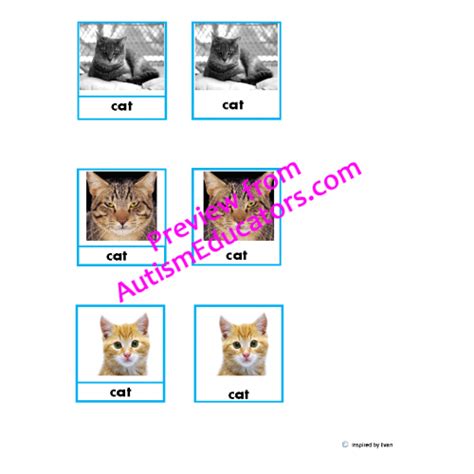Abavba Matching Identical And Non Identical Itemsflashcards For Autism