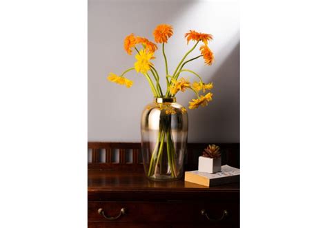 Dual Curvy Glass Vase Buy Vases Online Home Decor India