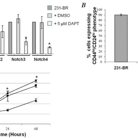 Effect Of γ Secretase Inhibition Using Dapt Sigma On In Vitro Download Scientific Diagram