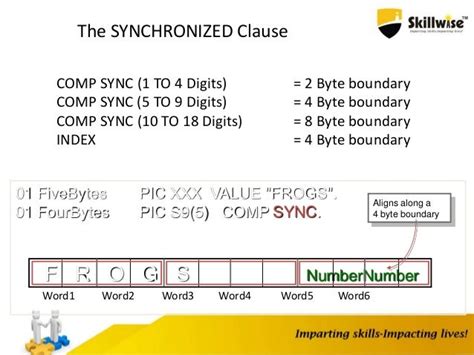 Skillwise Cobol Programming Basics