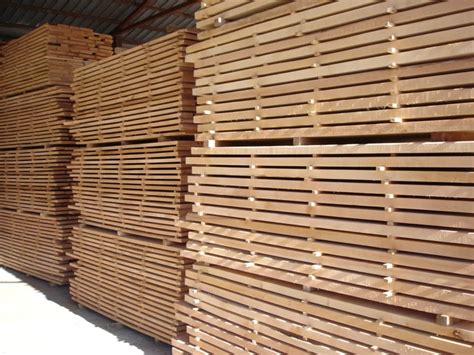 Fsc Certified German Beech Kd Sawn Lumber Kd 8 12 Buy Wood Wooden
