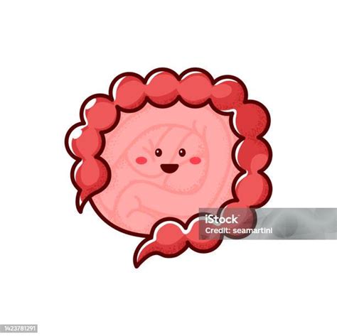 창자 장 만화 캐릭터 건강한 신체 기관 건강관리와 의술에 대한 스톡 벡터 아트 및 기타 이미지 건강관리와 의술 건강한
