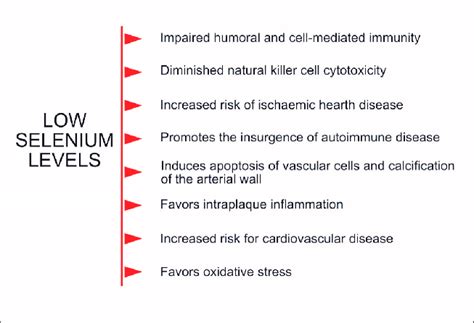 Main Effects Of Selenium Deficiency Download Scientific Diagram