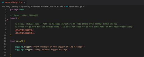 Brokenimport Incorrectly Showing · Issue 2607 · Golangvscode Go · Github