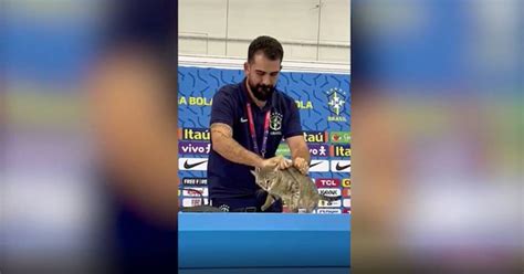 Бразильской конфедерации футбола предъявили иск на 200 тыс из за скандала с котом на ЧМ