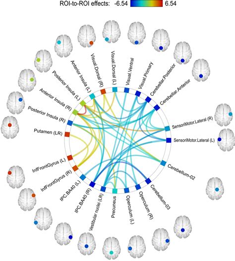 Conn Introduction — Weis Menu For Neuroimage 001 Documentation