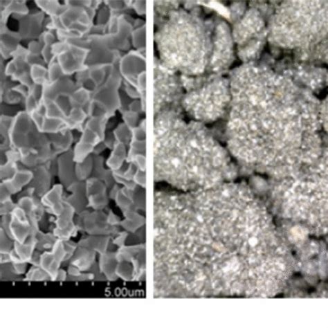 A Scanning Electron Microscope Sem Image Of A Porous Anode In A Fc Download Scientific