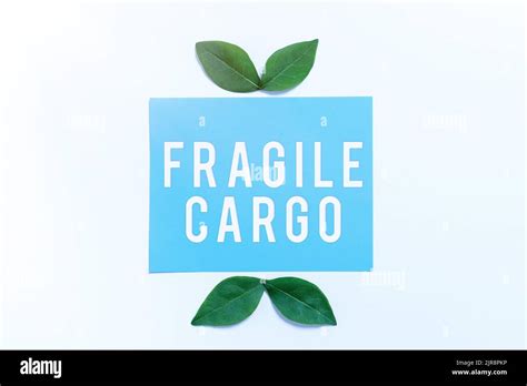 Conceptual Display Fragile Cargo Business Showcase Breakable Handle With Care Bubble Wrap Glass