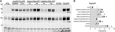 New Constitutive And Inducible App Lines Exhibit Transgene Expression Download Scientific