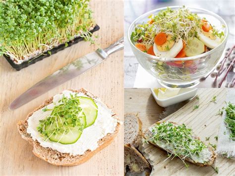 Свежий салат на подоконнике за 12 дней! Курильщикам и онкобольным ...