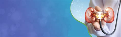 Home دکتر نادیا عدنانی متخصص داخلی، فوق تخصص نفرولوژی بالغین