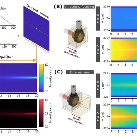 Simulations Of The Ultrasound Focusing Of Light A Beam Propagation